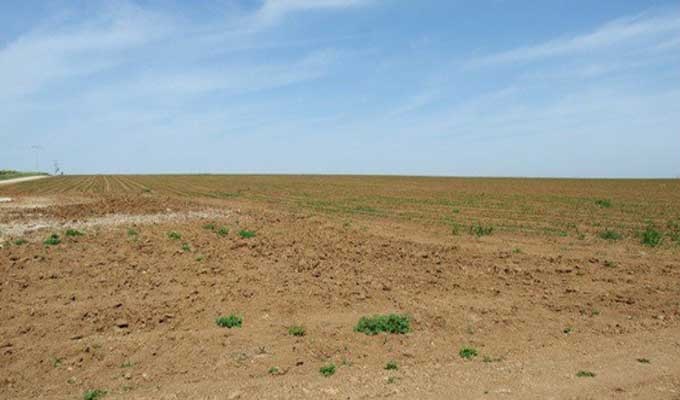 القصرين: إسترجاع عقار دولي يمسح 4300 متر مربع - أفريكان مانجر